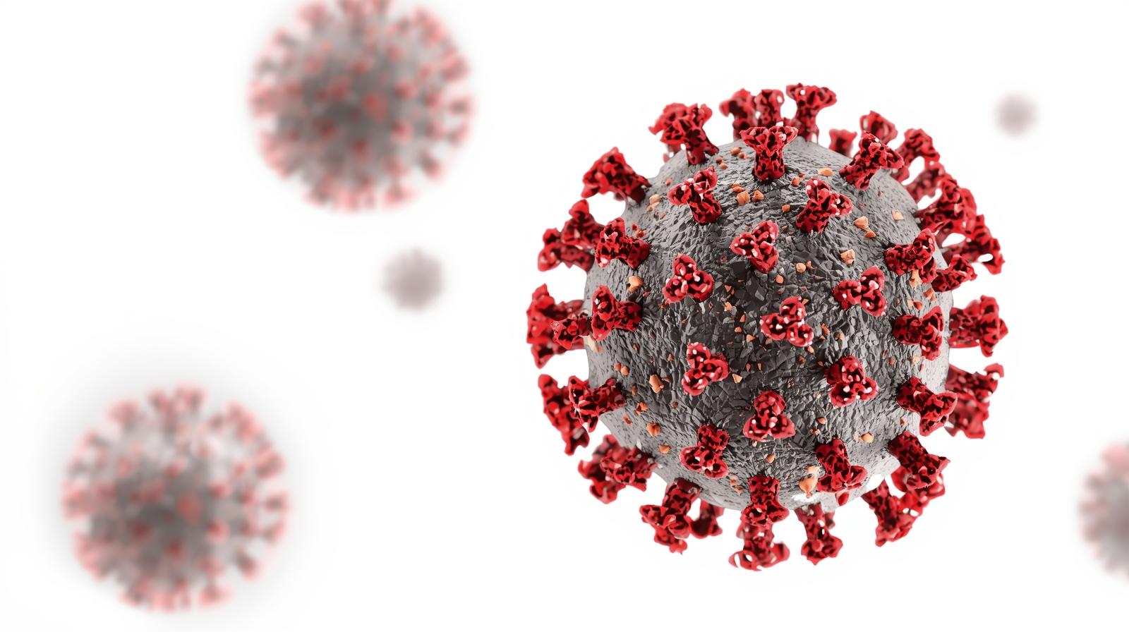 BioGen Laboratorio de Diagnóstico Molecular | Pruebas de PCR VPH